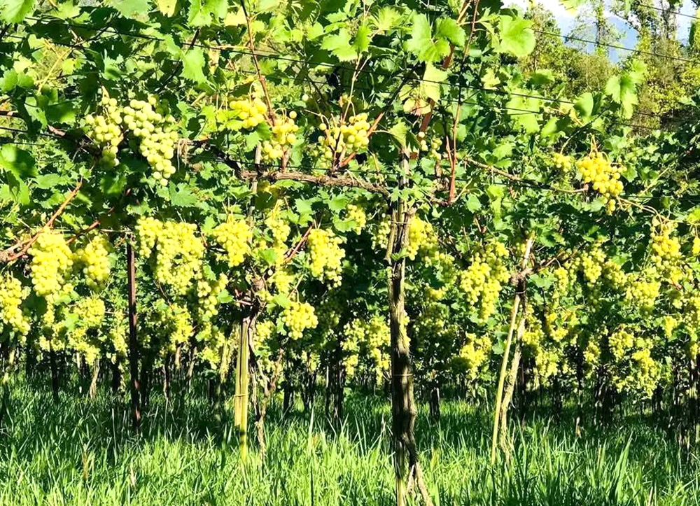 गृहपृष्ठ - Bhanjyang Daily : No. 1 news portal from tanahun